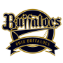 Orix Buffaloes Fixtures Schedule & Predictions, Games Scores, and ...